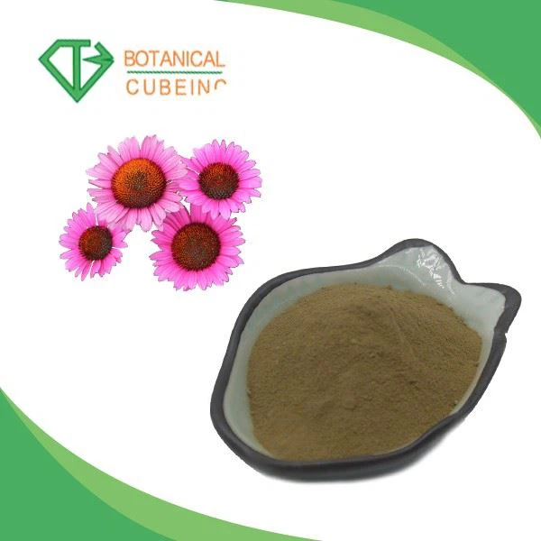 China Echinacea Purpurea Extract Powder Suppliers, Manufacturers ...